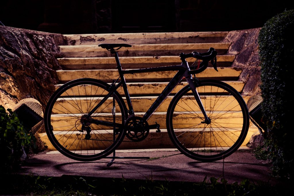 Venzo Phoenix – Venzo Argentina